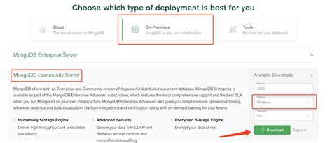 brew install mongodb directory amelaenter