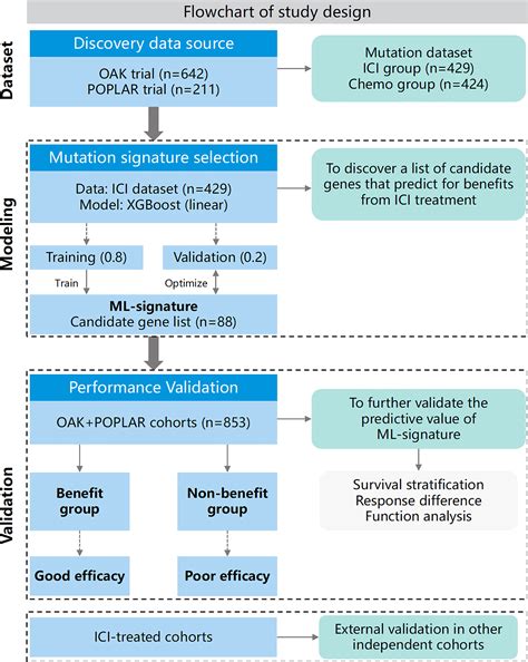 Frontiers Predictive Mutation Signature Of Immunotherapy Benefits In