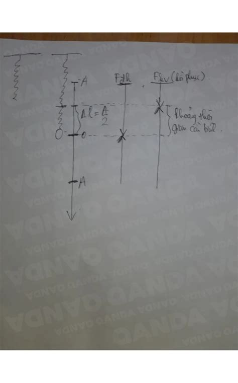 Cu 8 Mt Con Lc L Xo Treo Descubre Cómo Resolverlo En Qanda