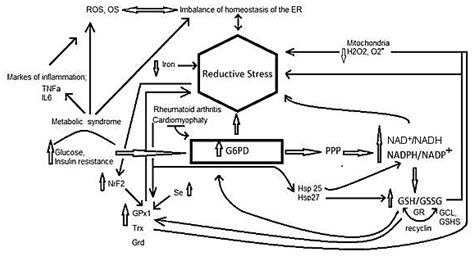 Ijms Free Full Text Reductive Stress In Inflammation Associated