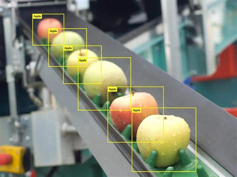 object detection sentisight ai