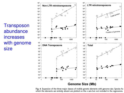 Ppt Genome Evolution Powerpoint Presentation Free Download Id 2584527