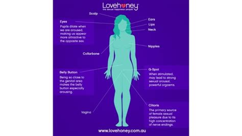 A Sex Therapists Guide To Using All 25 Of Your Erogenous Zones Body Soul