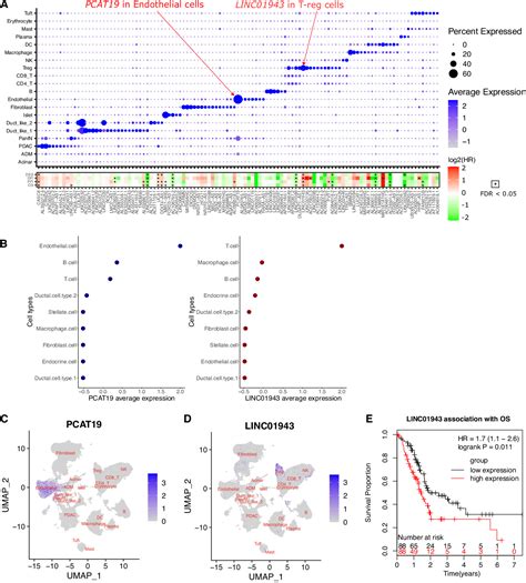Figure 2 From Single Cell Transcriptomics Reveals Long Noncoding Rnas