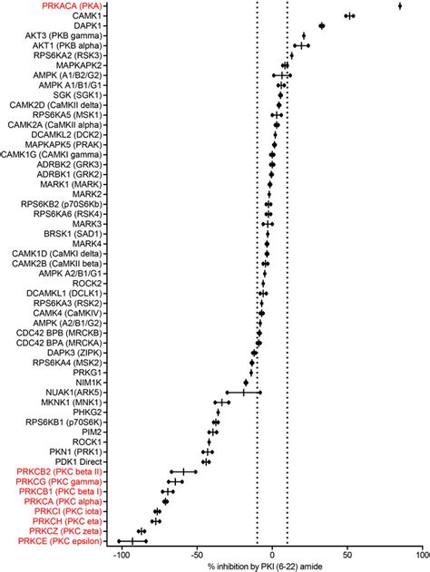 Frontiers The Kinase Specificity Of Protein Kinase Inhibitor Peptide