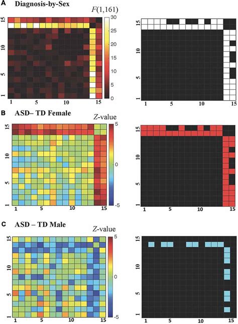 frontiers sex differences in resting state functional connectivity of