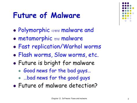 Chapter 11 Software Flaws And Malware Ppt Download