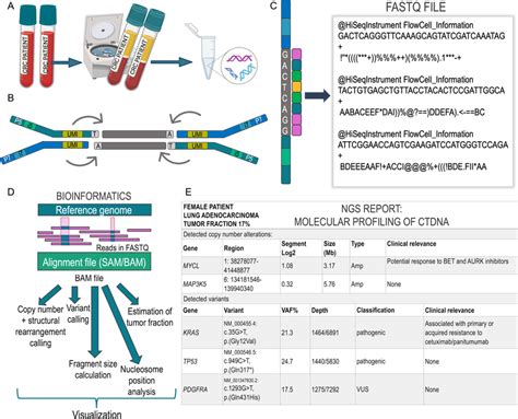 Ngs Technology As The Backbone Of Ctdna Analysis A Starting With Whole