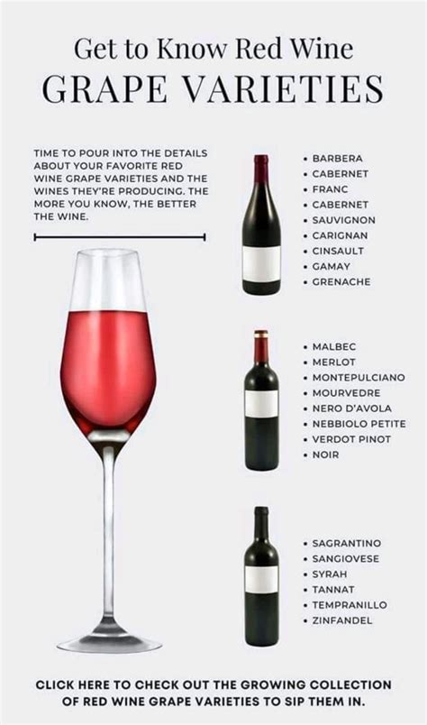 Types Of Wine Chart Red Wine White Wine Sparkling Wine 51 Off