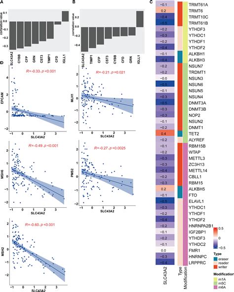 Frontiers A Novel Stemness Classification In Acute Myeloid Leukemia
