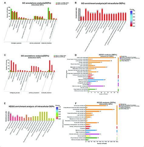 Functional Classification Of Deps A Go Annotation Of Intracellular