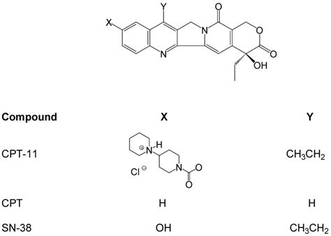 Structures Of Irinotecan Cpt 11 Camptothecin Cpt And Sn 38