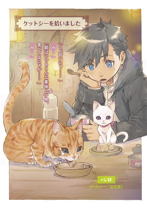【送料無料（一部地域を除く）】 神猫ミーちゃんと猫用品召喚師の異世界奮闘記 4 ドラゴンノベルス にゃんたろう 著者 岩崎美奈子 イラスト