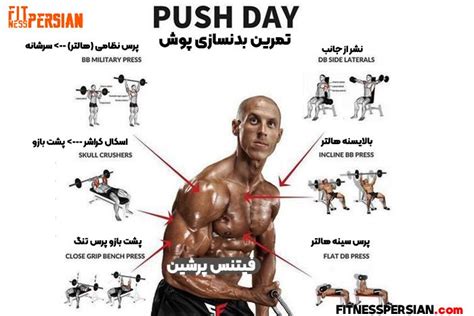 برنامه Push Day تمرین سینه، سرشانه و پشت بازو فیتنس پرشین