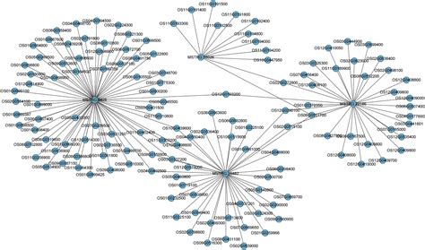 Frontiers Comparative Transcriptome Wide Identification And