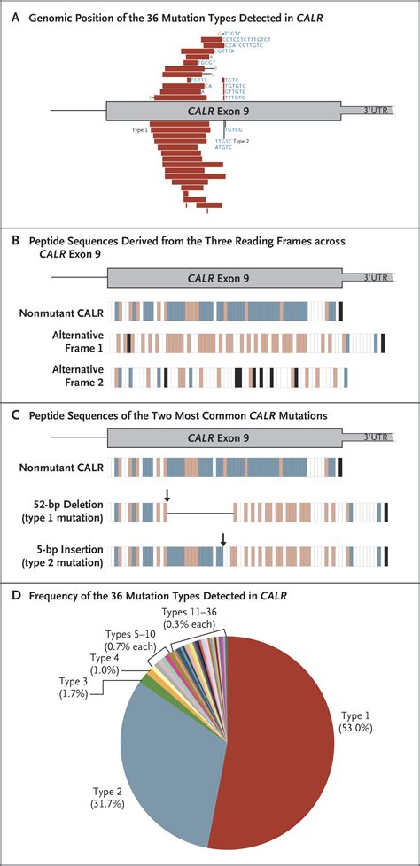 Somatic Mutations Of Calreticulin In Myeloproliferative Neoplasms Nejm