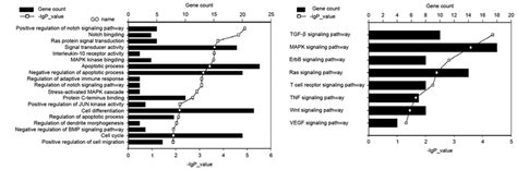 Mirna Target Prediction And Functional Annotation Analysis Predicted