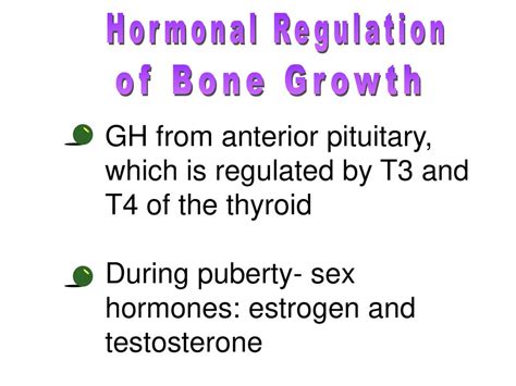 Bones And Skeletal Tissue Ppt Download