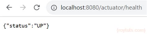 spring boot actuator securing endpoints roy tutorials