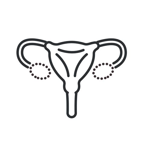 Female Reproductive Organ Uterus Ovaries Line Icon Anatomical