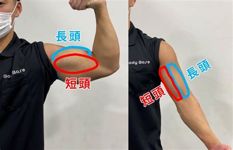 上腕二頭筋 簡単トレーニングで男らしい力こぶをつくる！ ハピネス