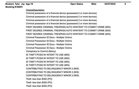 Rep Lauren Boeberts Son Arrested Faces 22 Charges