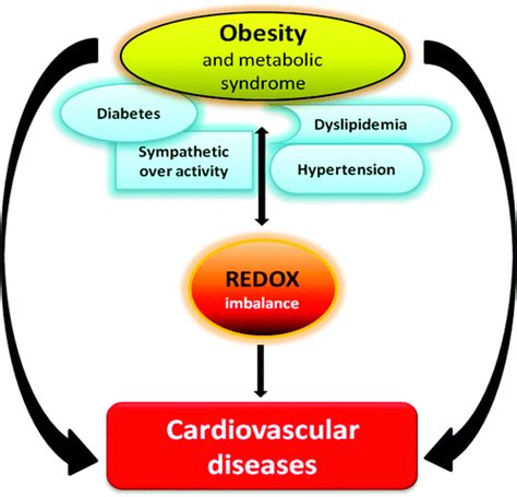 Novel Invasive And Noninvasive Cardiac Specific Biomarkers In Obesity