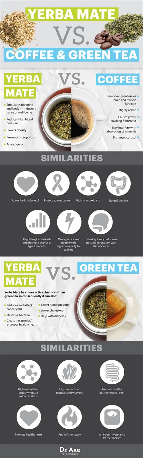 Yerba Mate Benefits Including Fighting Cancer How To Make Dr Axe