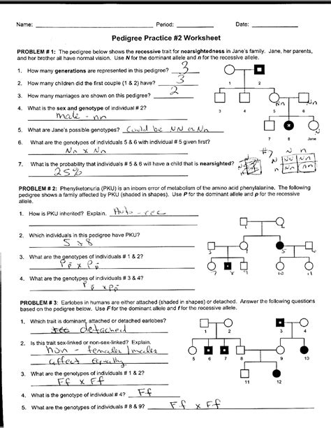 Worksheet Pedigree Practice With Answer Key Docsity