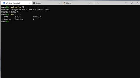 how do i make ubuntu 20 04 work on windows 10 wsl 2 ask