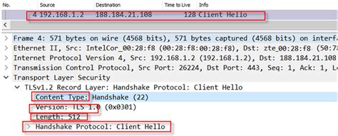 analyze tls and mtls authentication with wireshark golinuxcloud