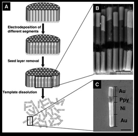 7 A Schematic Representation Of Steps Involved In The Fabrication Of