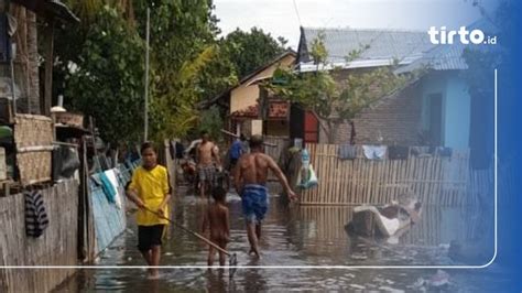 Bmkg Imbau Warga Pesisir Flores Dan Sumba Ntt Waspada Banjir Rob
