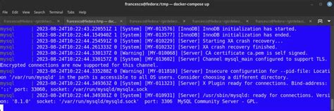 orchestrate containers using docker compose mastertheboss