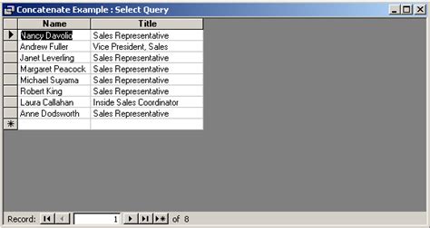 ms access 2003 concatenate two fields in a query