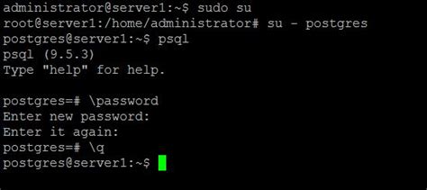set the postgresql password relational database tutorial installation
