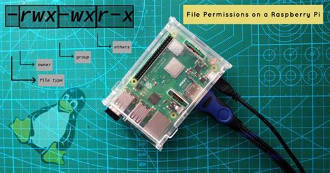 file permissions on linux learn circuitrocks