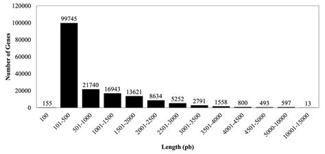 Unigenes Length Distribution Obtained By The De Novo Assembly Of The