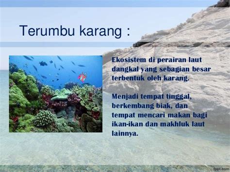 Ekosistem Pantai And Terumbu Karang