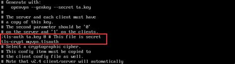 installing openvpn on centos 7 or 8 {2021 ultimate guide}