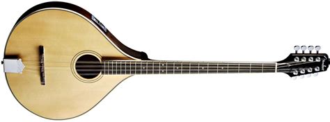 Other Plucked Instruments 64 Products Audiofanzine