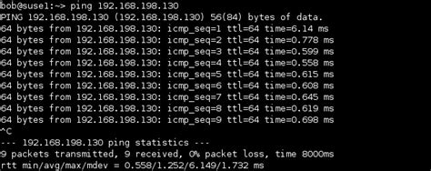 ping command linux