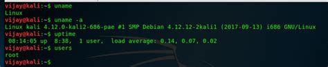 kali linux commands list basic to advanced with examples
