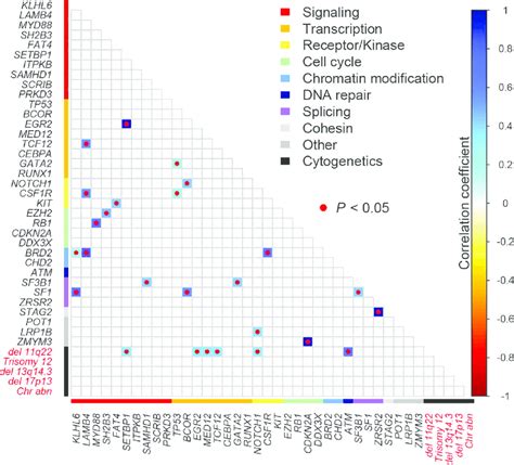 Correlation Between Various Gene Mutations And Between Gene Mutation