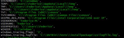 node js dotenv windows environment variables but no others showing up