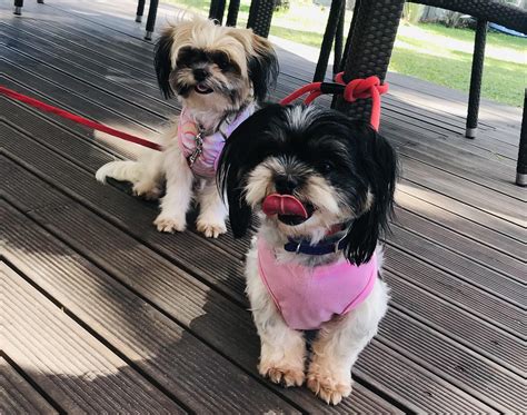 That Mother And Daughter Bond These 2 Are Inseparable R Aww
