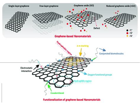 Scheme 5 Schematic Illustration Of Graphene Based Nanomaterials And