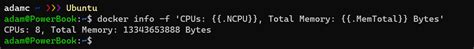 running docker desktop with the new wsl 2 backend