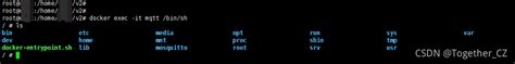 error response from daemon oci runtime exec failed exec failed