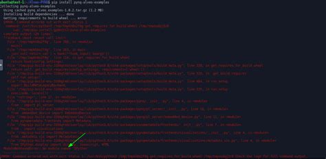 no module named ipython error even though its installed · issue 27